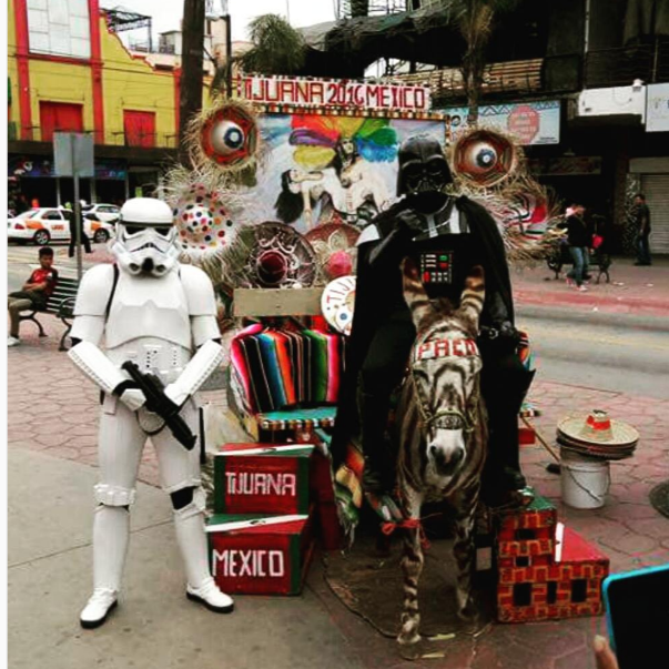 La leyenda del burro-cebra de Tijuana - Tijuanotas